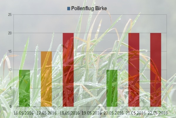 Gräserpollenflug vom 16.05.2016 bis 22.05.2016: